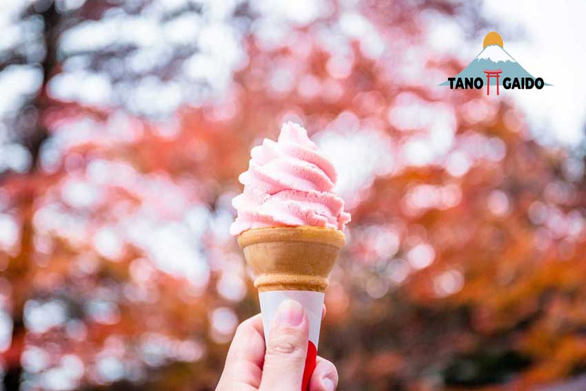 7 Jenis Es Krim Khas Jepang | Tanogaido