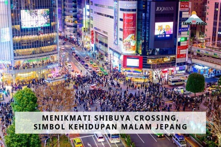 Shibuya Crossing, Simbol Kehidupan Malam Jepang | Wisata Jepang