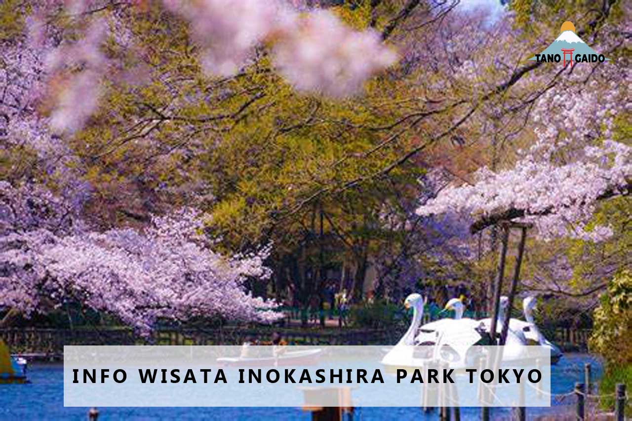 Taman Inokashira, Menikmati Bunga Sakura Dan Danau Yang Indah | Tanogaido