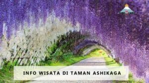 Info Wisata Di Taman Ashikaga | Wisata Jepang