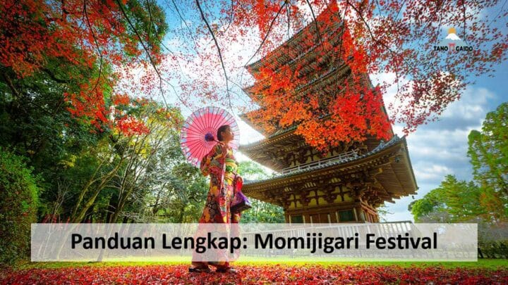 Momijigari Festival | TANOGAIDO