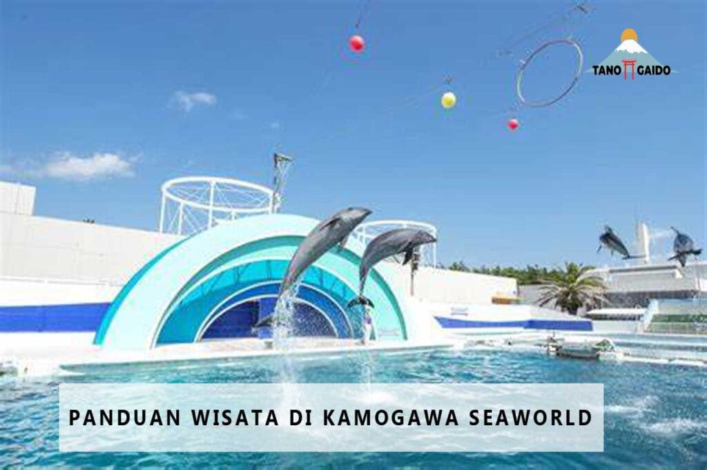 Panduan Wisata Di Kamogawa Seaworld | TANOGAIDO