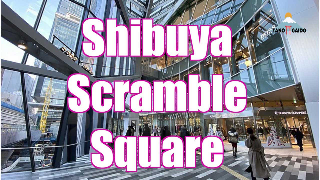 Shibuya Scramble Square, Review Gedung Tertinggi Di Shibuya | TANOGAIDO