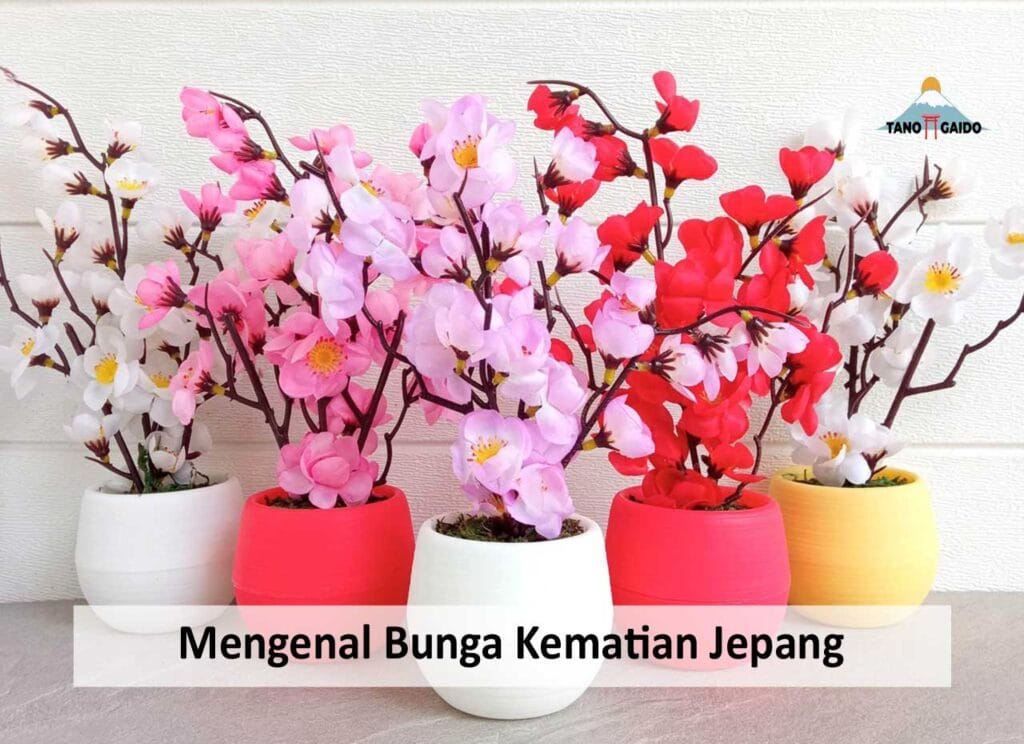 Jenis-Jenis Bunga Kematian Jepang Yang Menakjubkan | Tanogaido