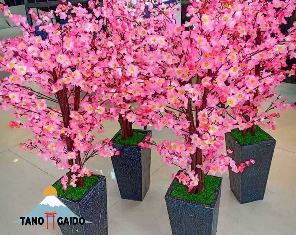 15 Rekomendasi Oleh-Oleh Khas Jepang Untuk Wanita Wajib Dibeli | TANOGAIDO