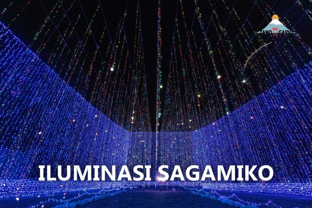 Iluminasi Tokiwa Fantasia | Wisata Jepang