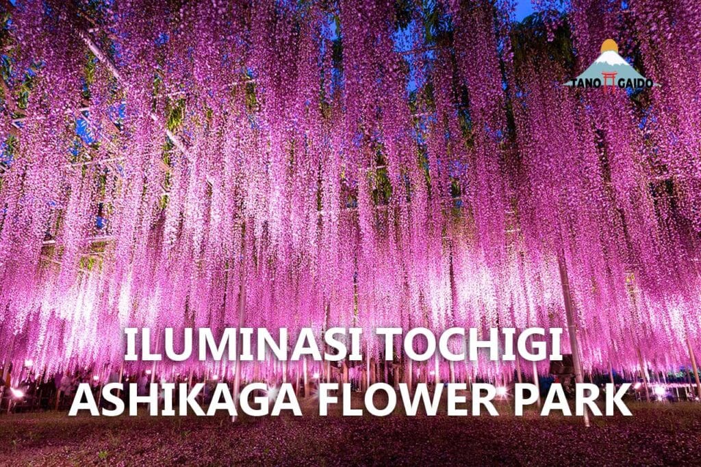 Info Wisata Di Prefektur Tochigi | Wisata Jepang