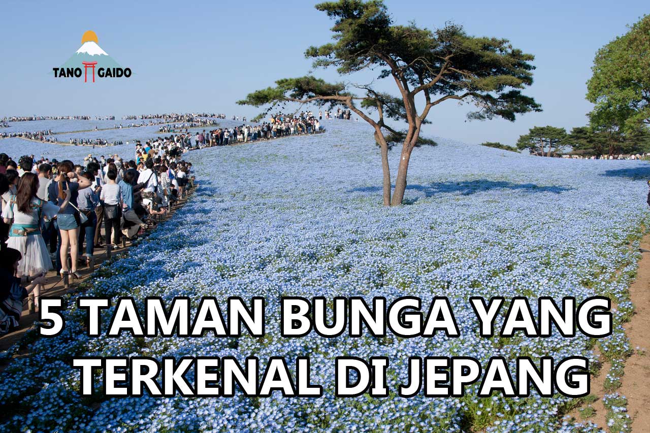5 Taman Bunga Yang Terkenal Di Jepang | TANOGAIDO