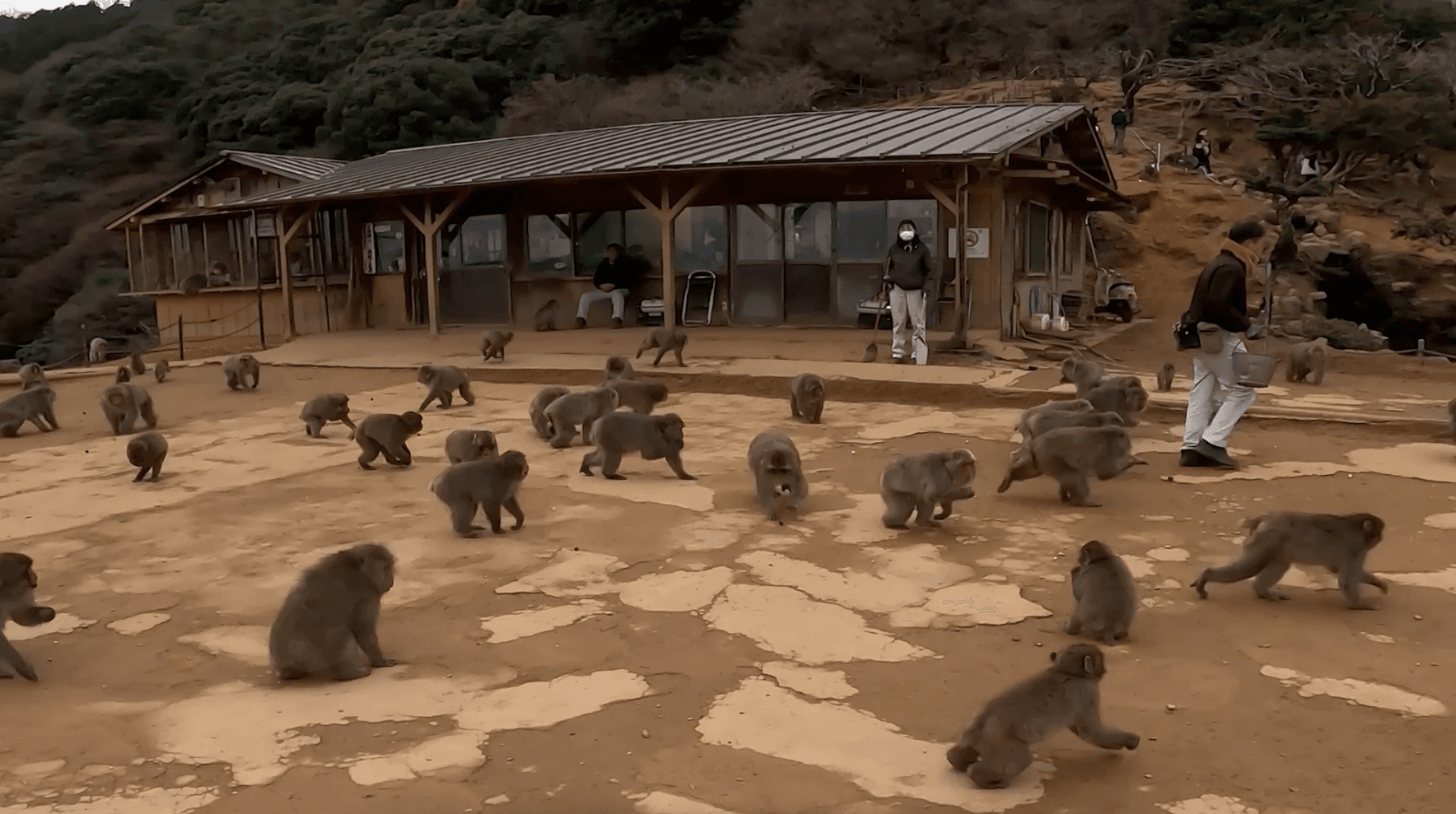 5 Destinasi Wisata Menarik Di Arashiyama, Kyoto | Tanogaido