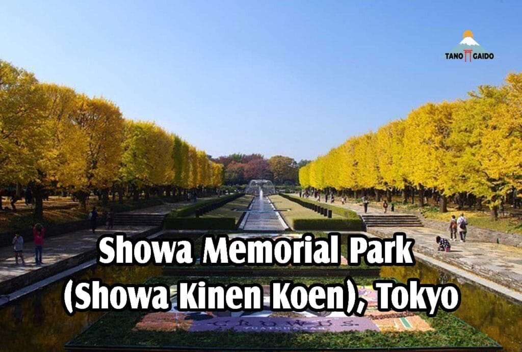 Showa Memorial Park (Showa Kinen Koen), Tokyo | TANOGAIDO
