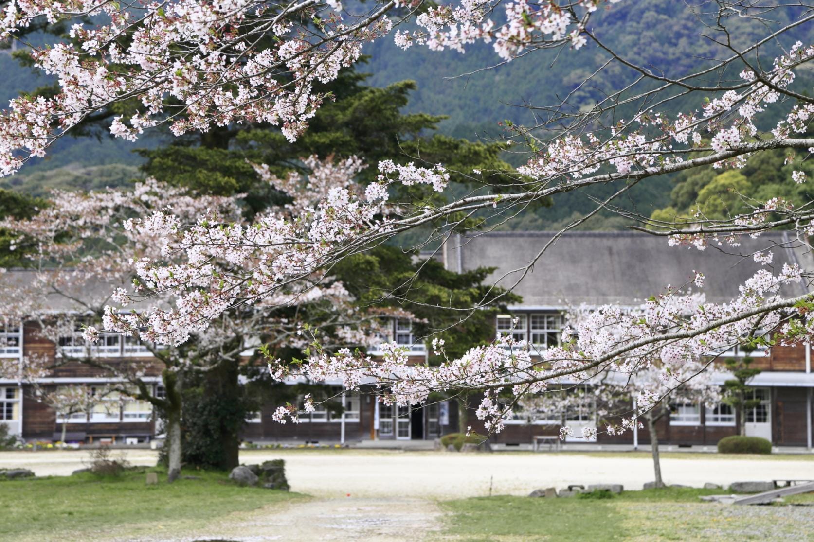 Keindahan Akizuki Castle Ruins Yang Bersejarah | Tanogaido